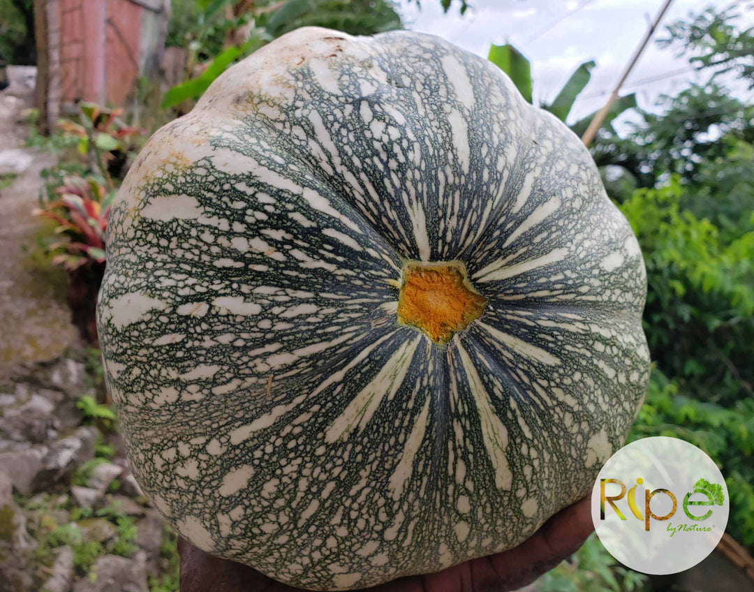 Vegetables – Ripe by Nature Farms