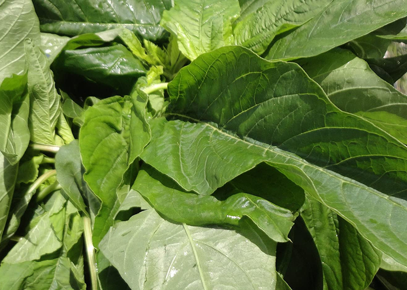 Vegetables – Ripe by Nature Farms