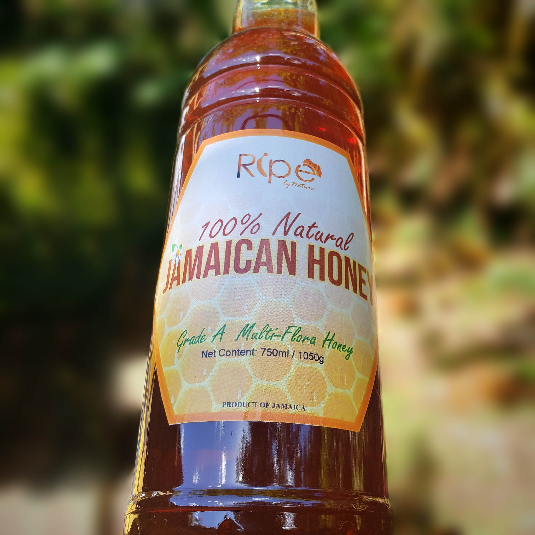 Herbs, Spices & Seasonings – Page 2 – Ripe by Nature Farms